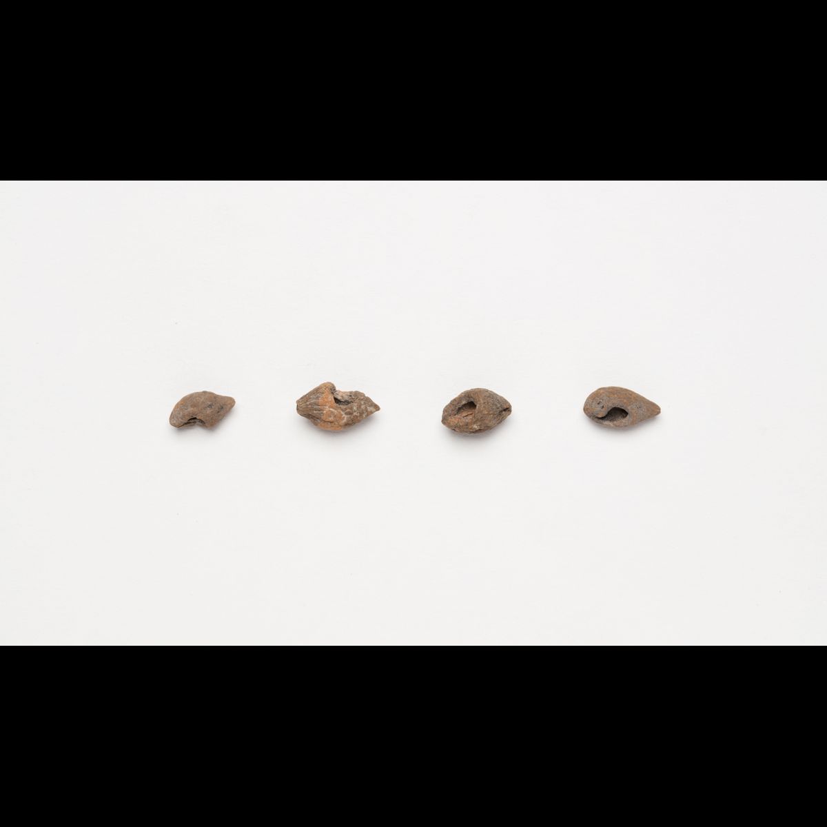 Te Wai Horotiu Histories